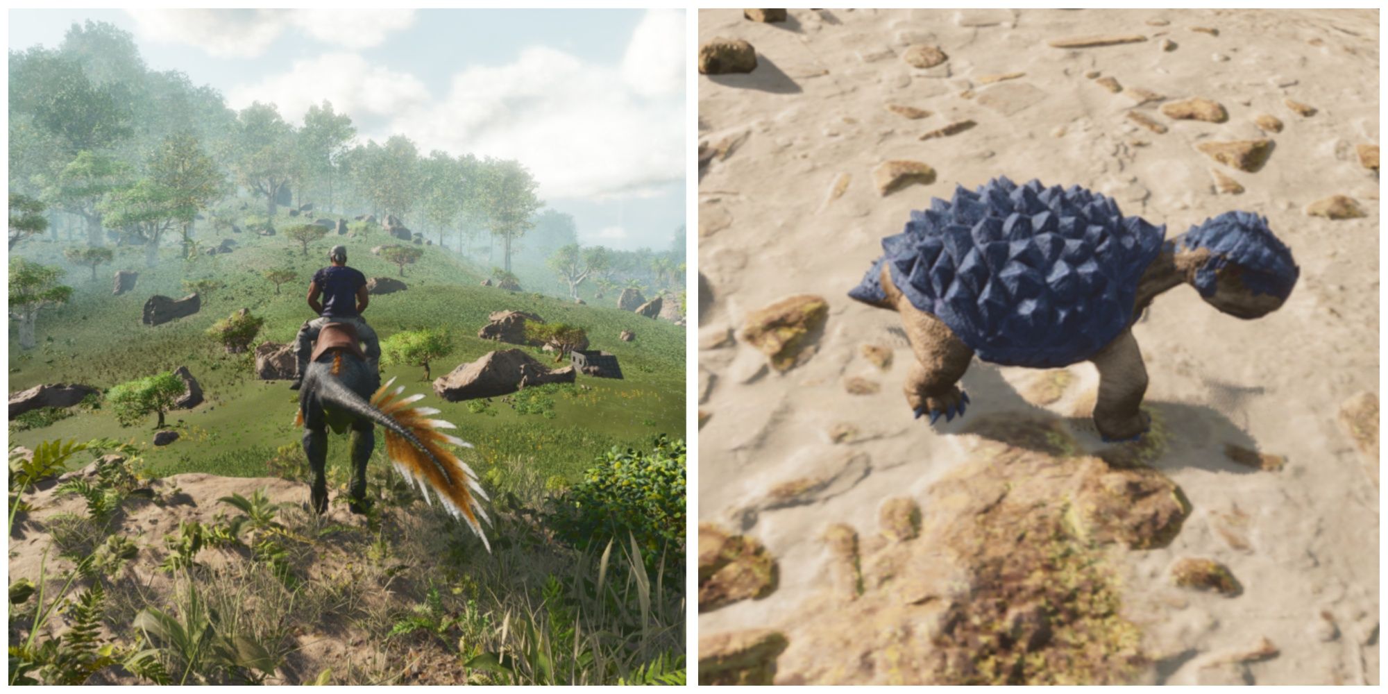 Complete Raptor Taming Guide In Ark: Survival Ascended