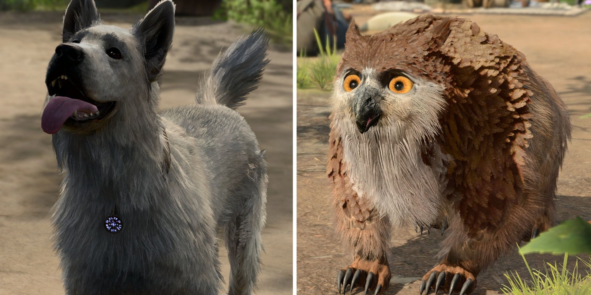 Baldur's Gate 3: How To Get Scratch The Dog