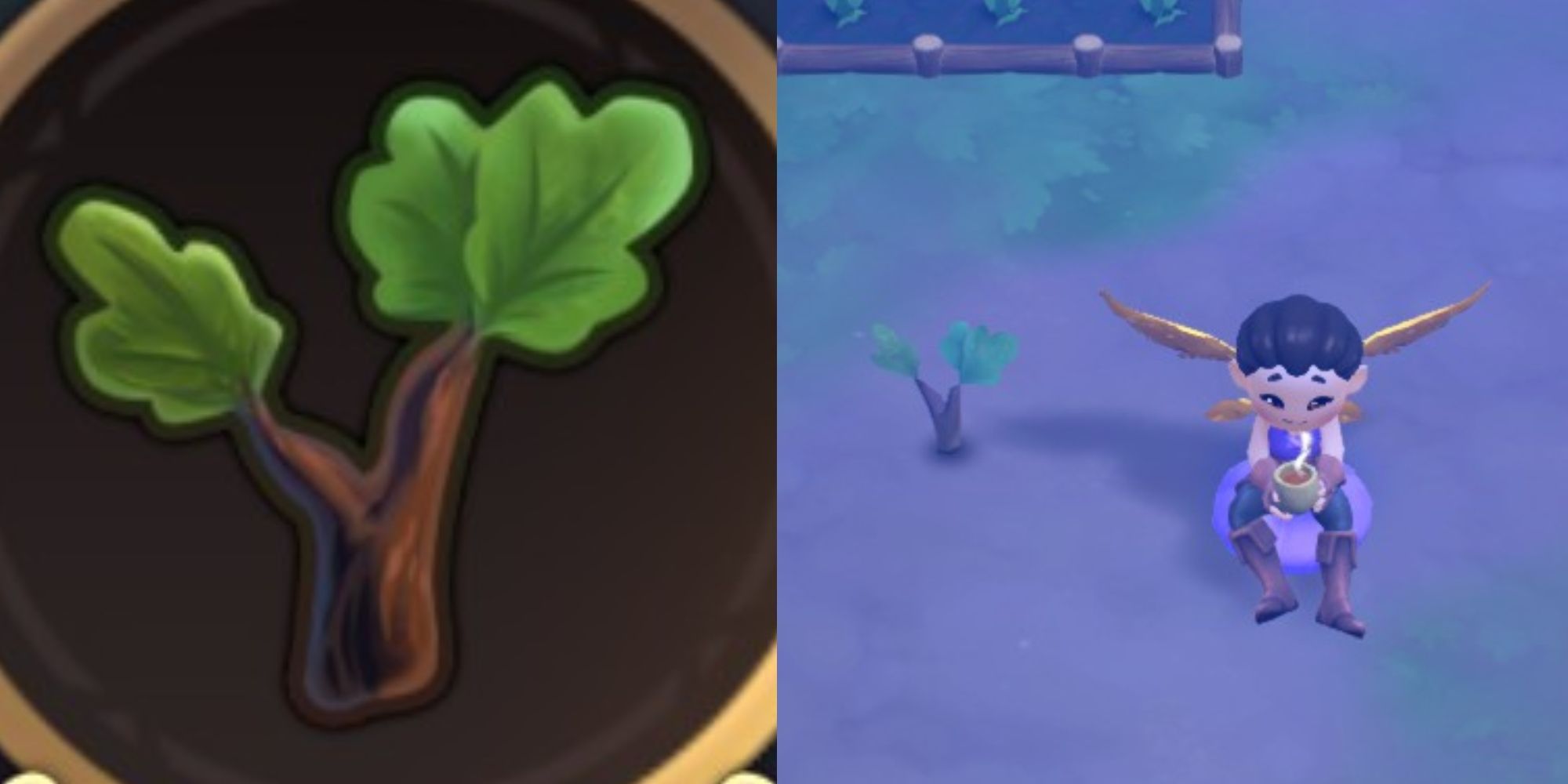 How To Plant Trees In Fae Farm