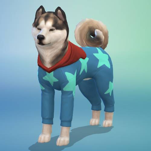 All Items In The Sims 4 My First Pet Stuff