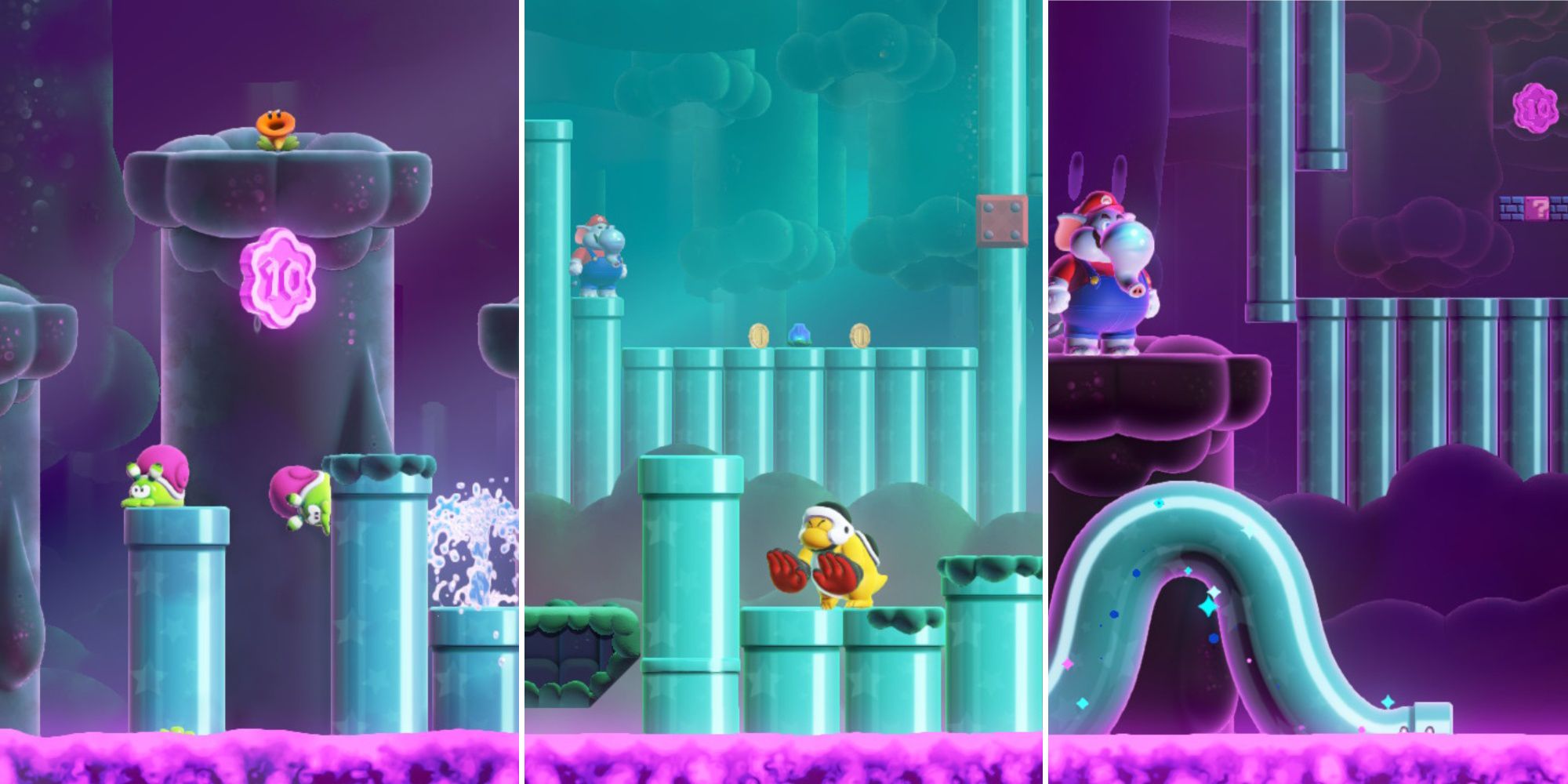 All Swamp Pipe Crawl Flower Coins And Wonder Seeds In Super Mario Wonder