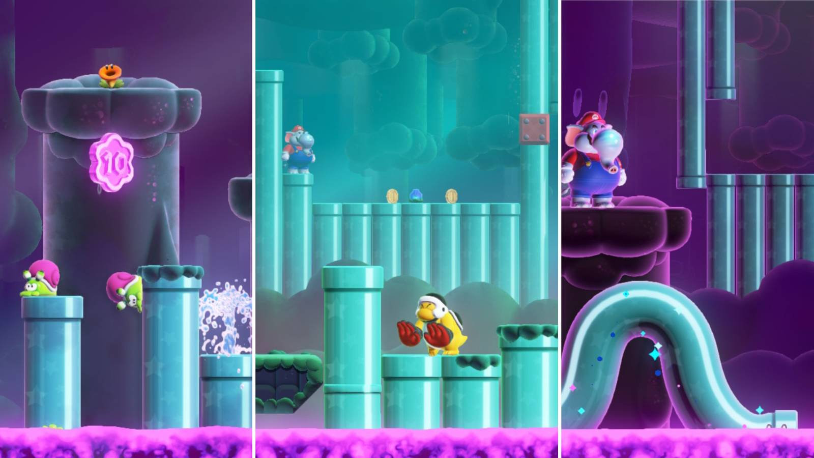 All Swamp Pipe Crawl Flower Coins And Wonder Seeds In Super Mario Wonder