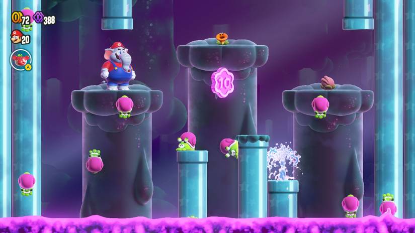 All Swamp Pipe Crawl Flower Coins And Wonder Seeds In Super Mario Wonder