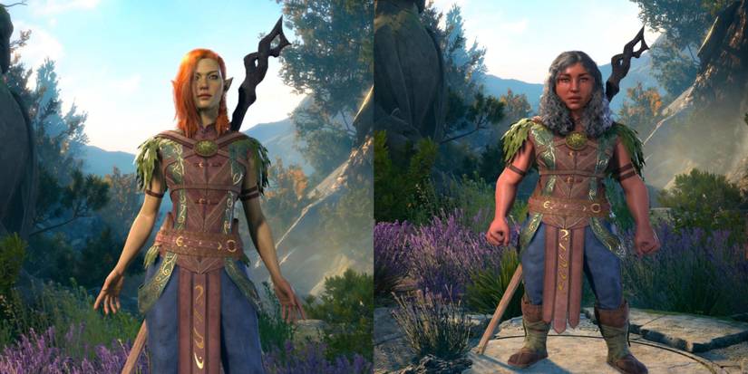 The Best Circle Of The Moon Druid Build In BG3