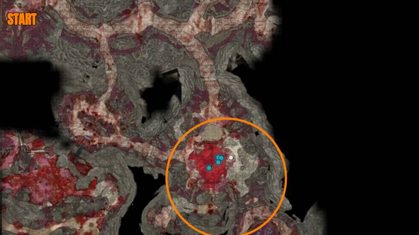 Where To Find The Resonance Stone In BG3