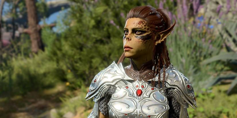 How To Make The Best Champion Fighter Build In BG3