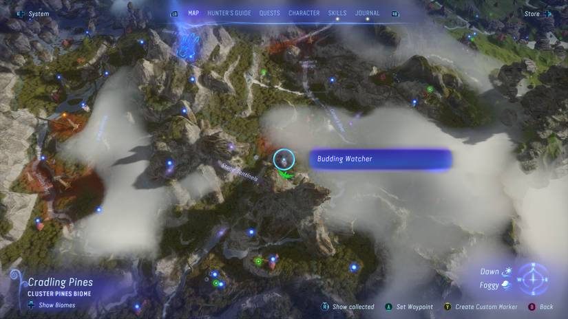 All Mycelium Network Activity Locations In Avatar: Frontiers Of Pandora