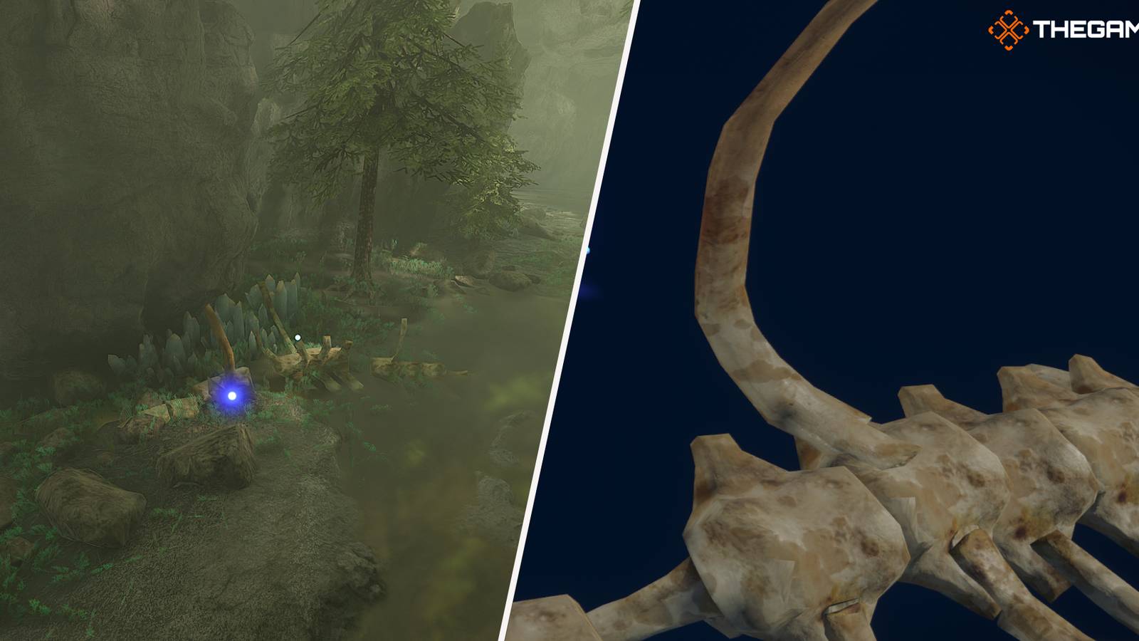 Where To Find Dense Bone In Avatar: Frontiers of Pandora