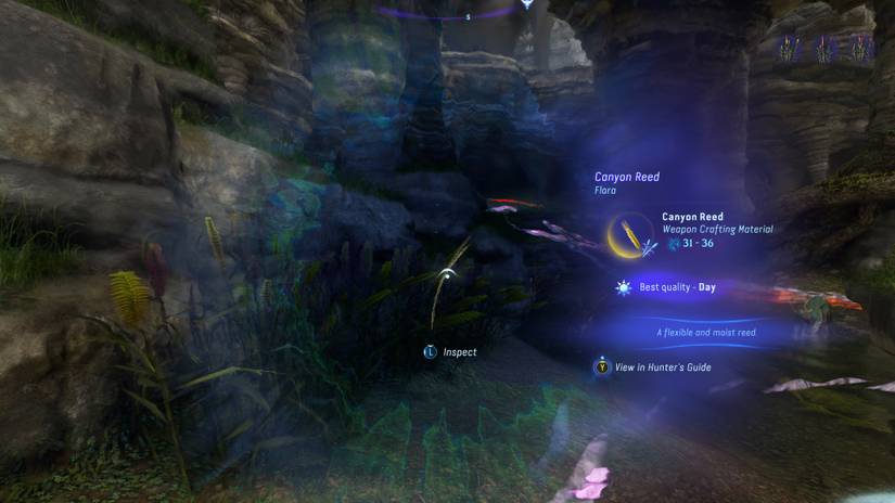 How To Get Reeds In Avatar: Frontiers Of Pandora