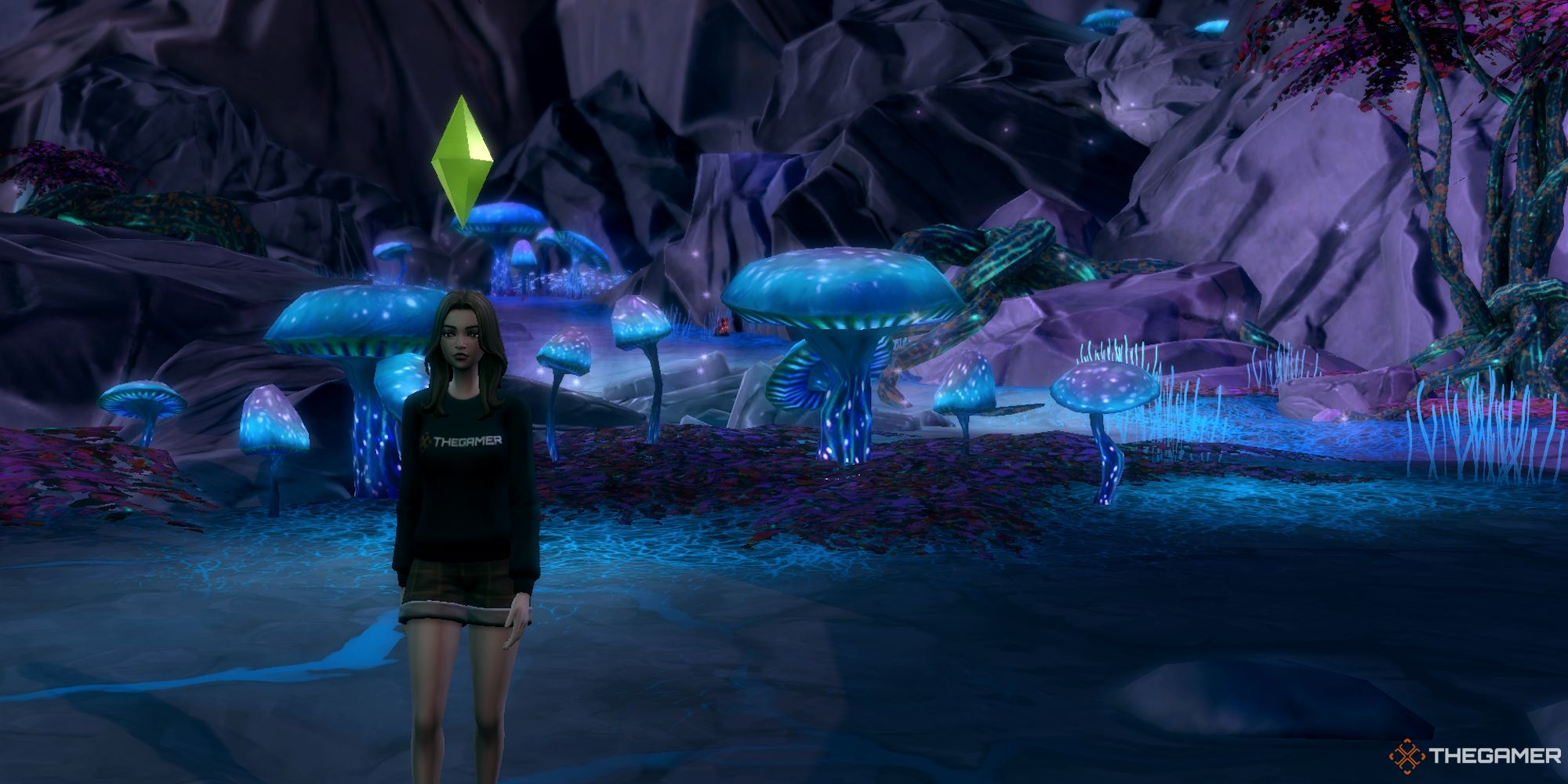 All Space Rocks, Space Prints, And Alien Collections In The Sims 4