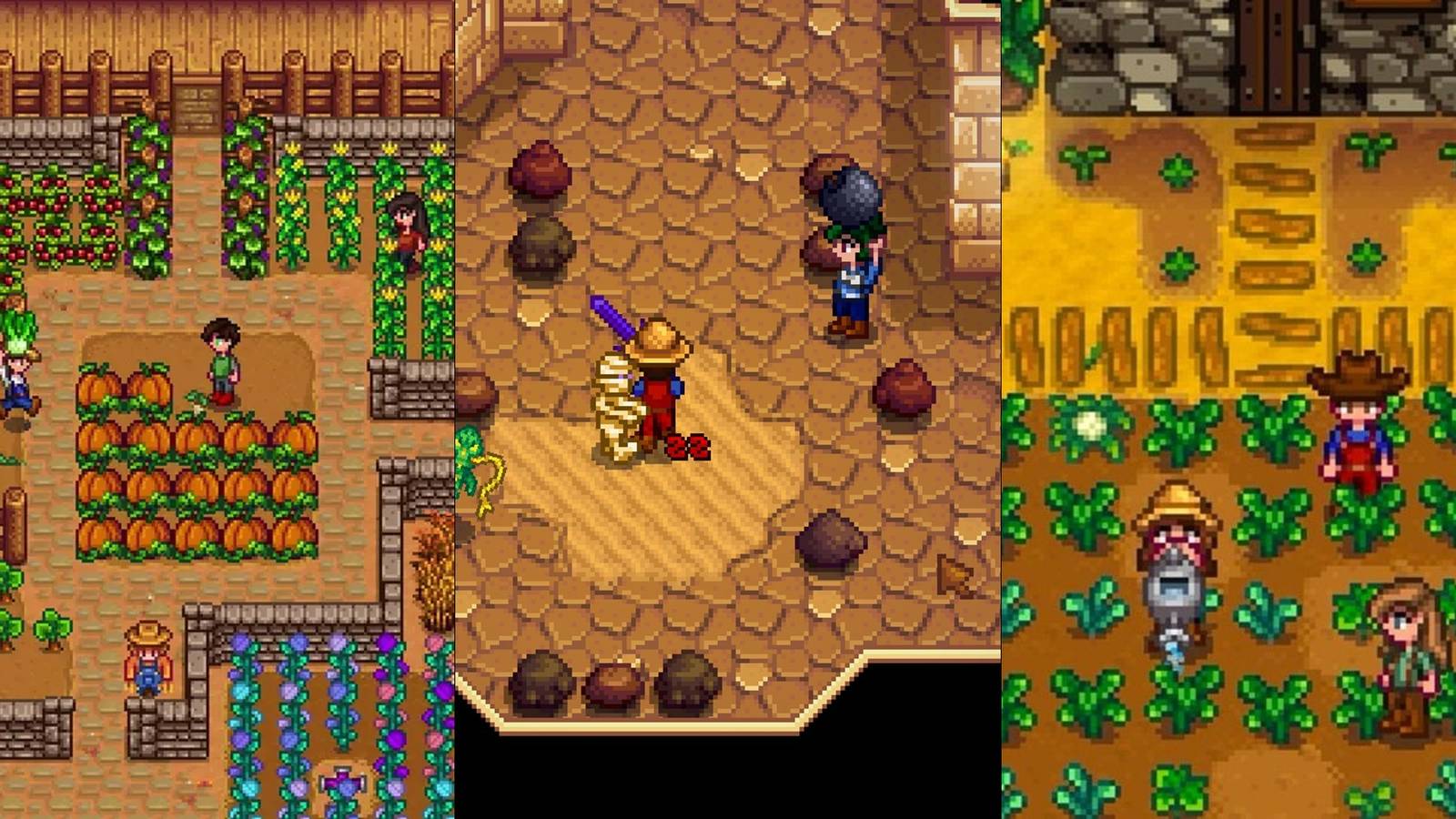 10 Tips For Stardew Valley Multiplayer
