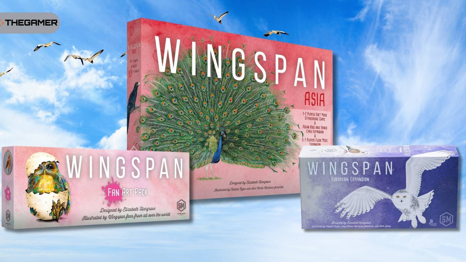 Best Wingspan Expansions And Upgrades in 2024