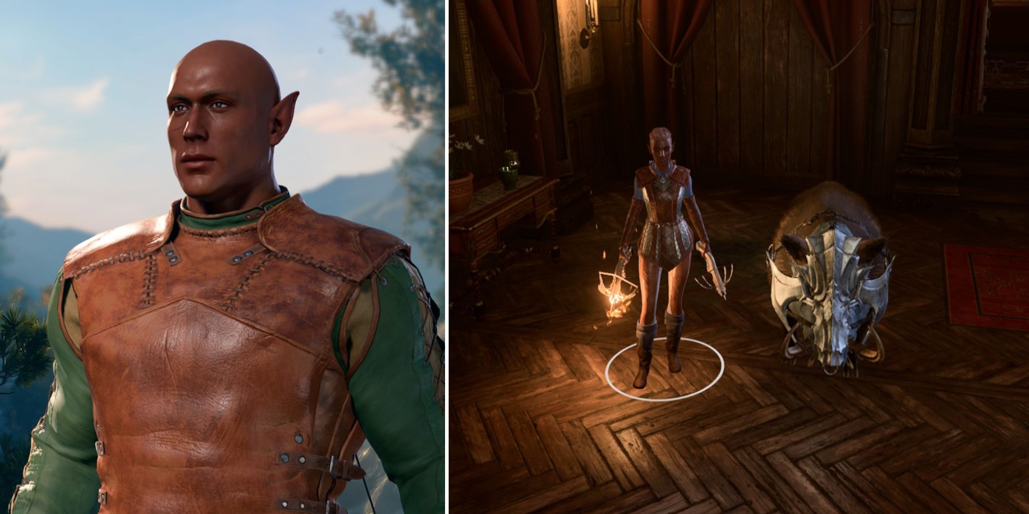 What Is The Best Beast Master Ranger Build In BG3?