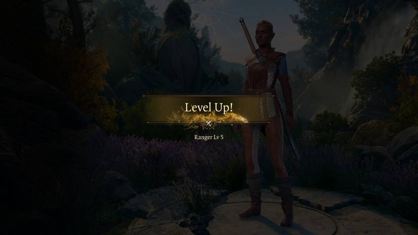 What Is The Best Beast Master Ranger Build In BG3?