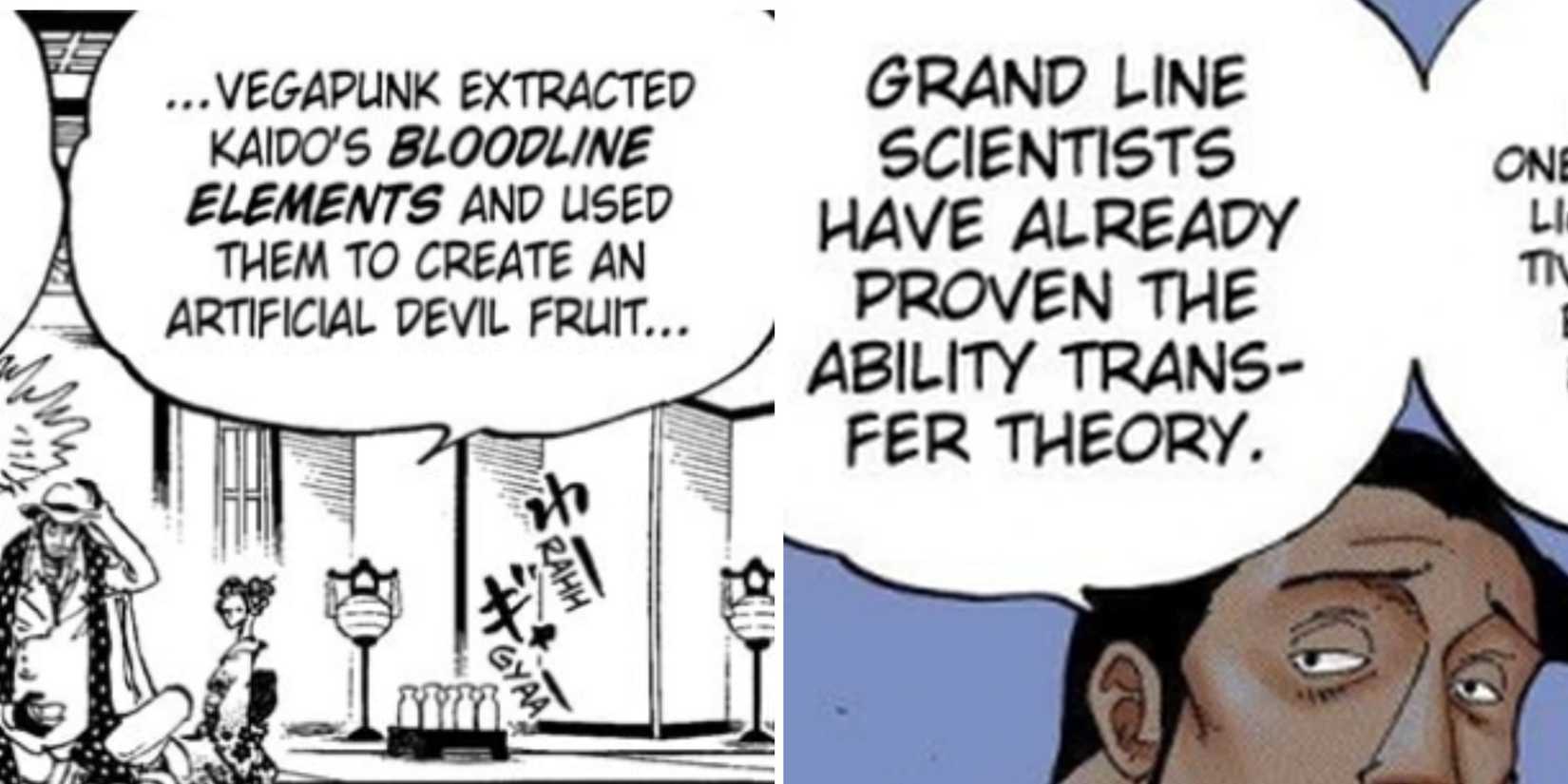One Piece's Devil Fruits, Explained
