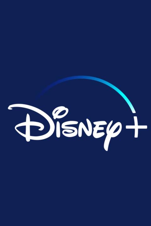 The Best Value Disney+ Bundles