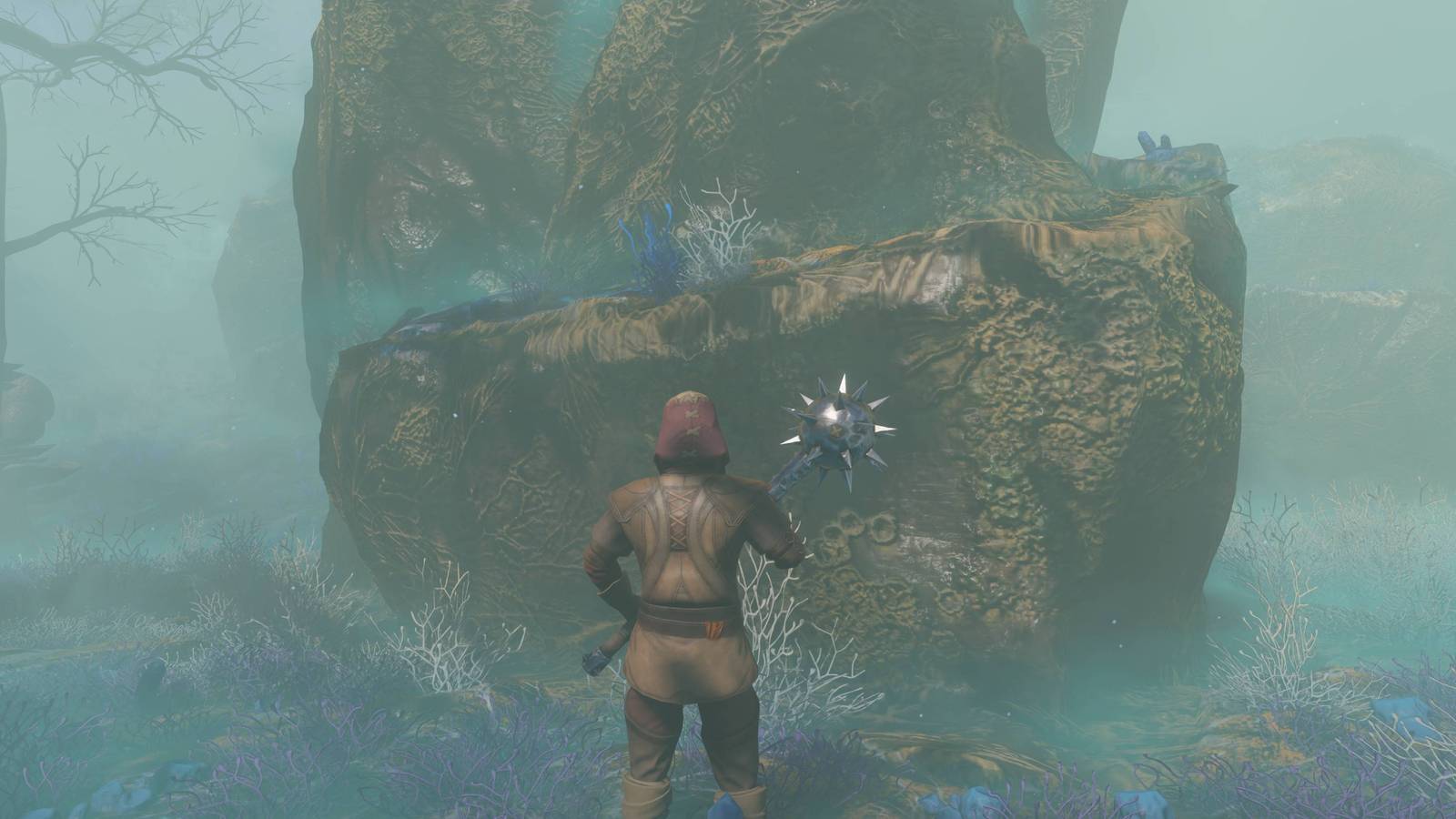 Where To Find Amber In Enshrouded