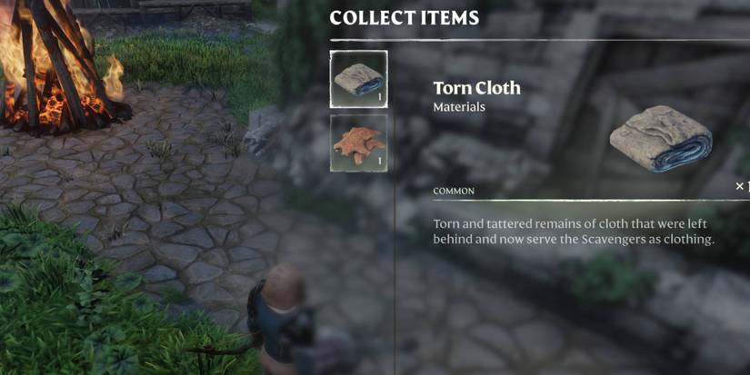 How To Get Torn Cloth In Enshrouded