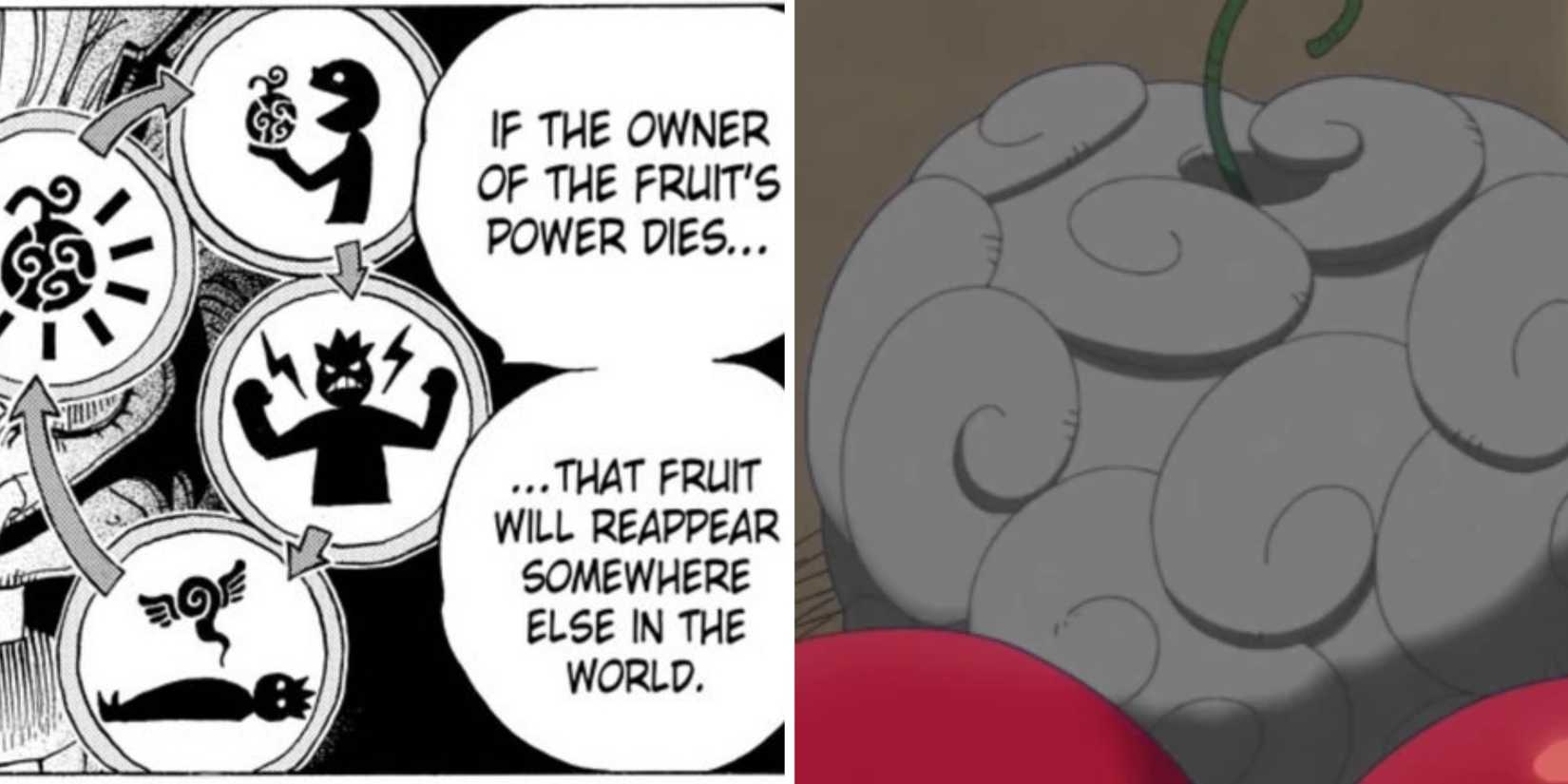 One Piece's Devil Fruits, Explained