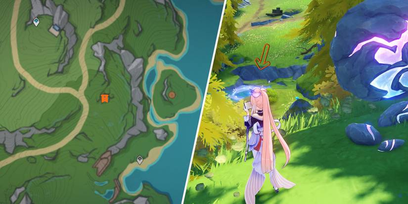 All Foggy Forest Branch Locations And Puzzle Solutions In Genshin Impact