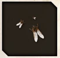 Every Dondoko Island Bug And How To Catch It In Like A Dragon: Infinite ...