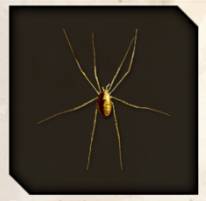 Every Dondoko Island Bug And How To Catch It In Like A Dragon: Infinite ...