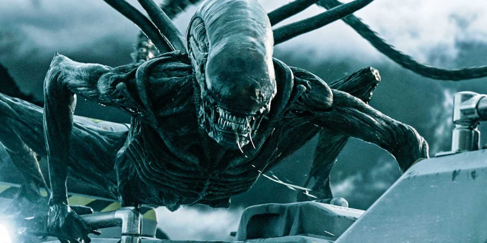Alien: Xenomorph Life Cycle, Explained