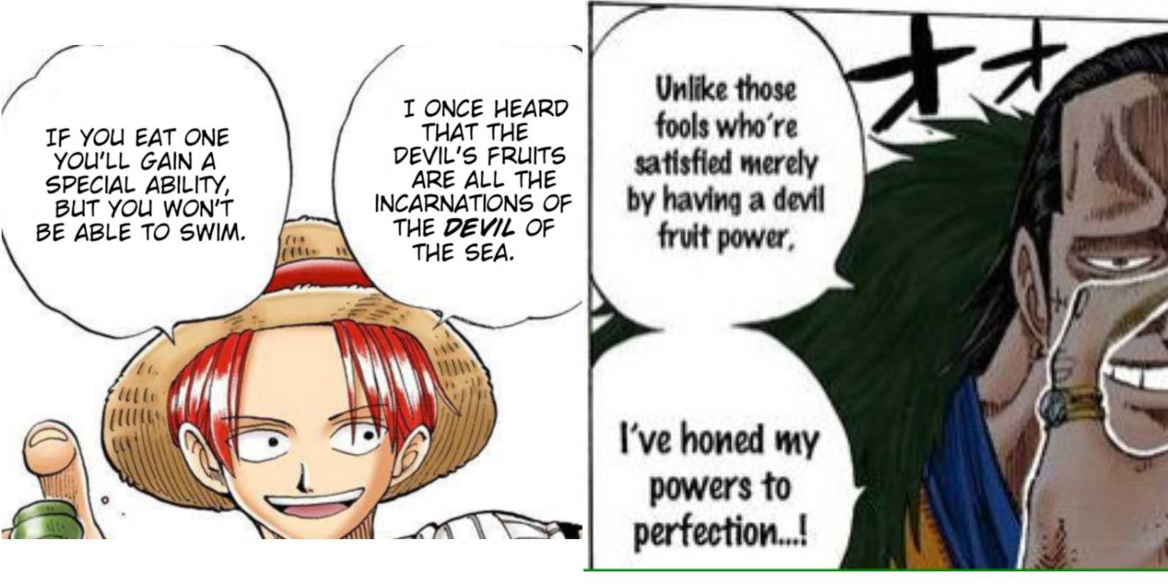 One Piece's Devil Fruits, Explained