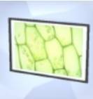 How To Find Microscope Prints In The Sims 4