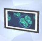 How To Find Microscope Prints In The Sims 4