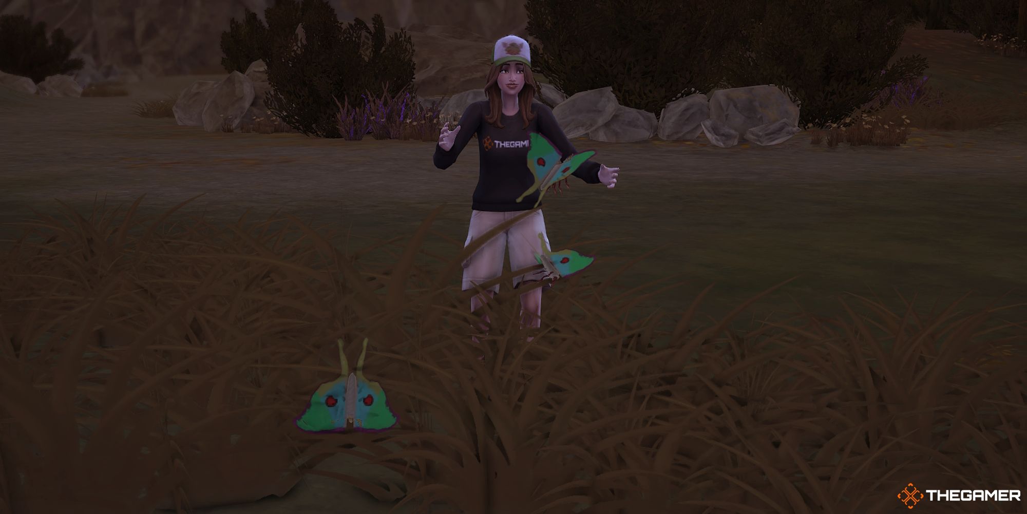 All Insect Locations In The Sims 4: Outdoor Retreat