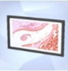 How To Find Microscope Prints In The Sims 4