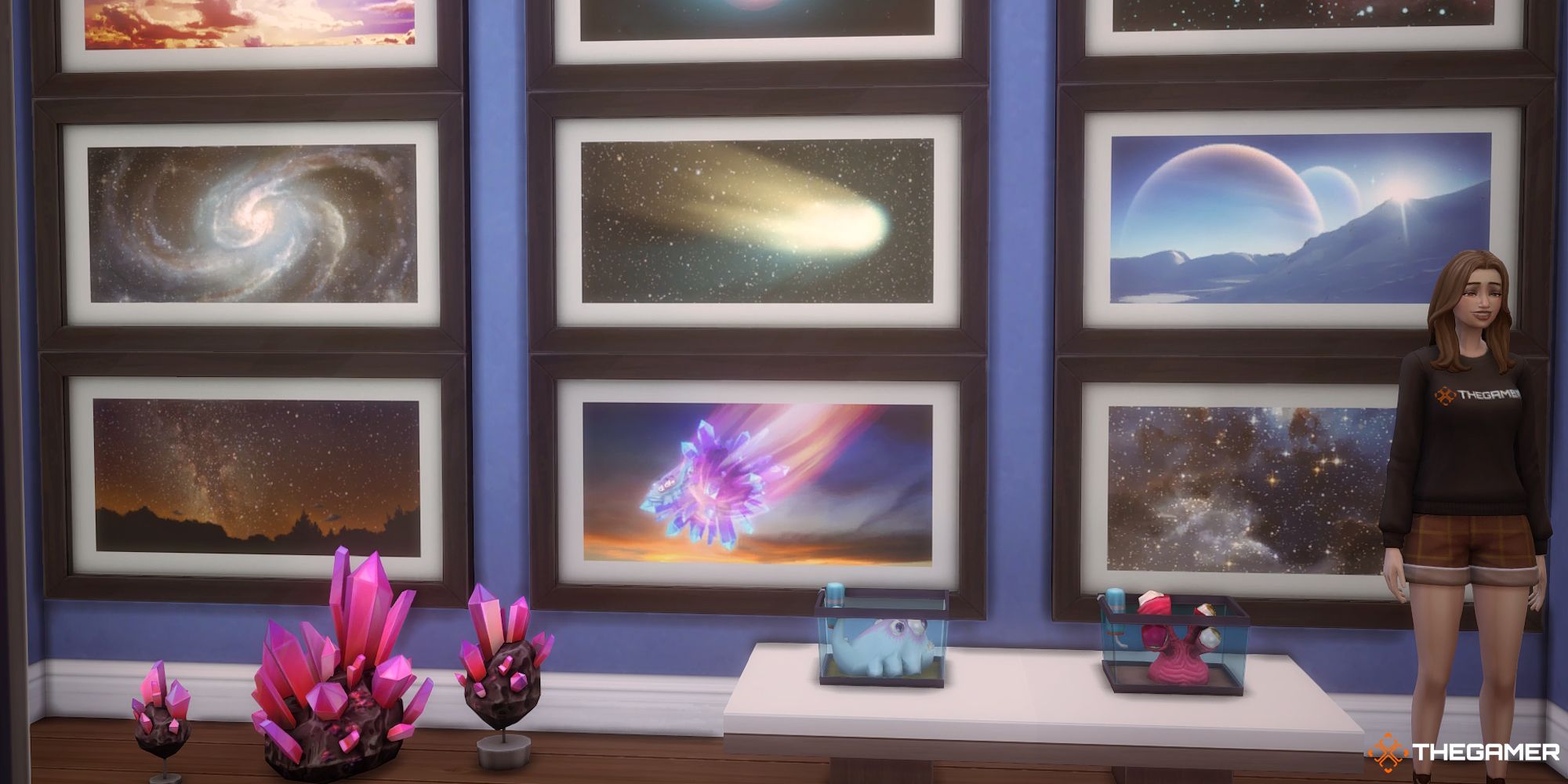All Space Rocks, Space Prints, And Alien Collections In The Sims 4