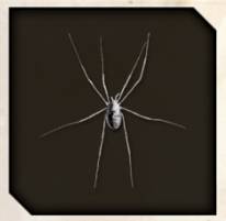 Every Dondoko Island Bug And How To Catch It In Like A Dragon: Infinite ...