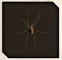 Every Dondoko Island Bug And How To Catch It In Like A Dragon: Infinite ...