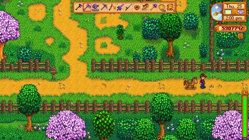 Everything You Can Donate To The Museum In Stardew Valley