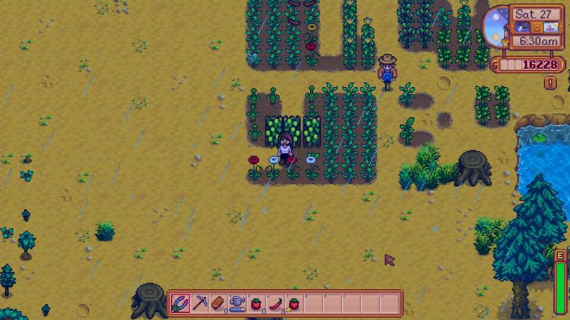 How To Grow Poppies In Stardew Valley
