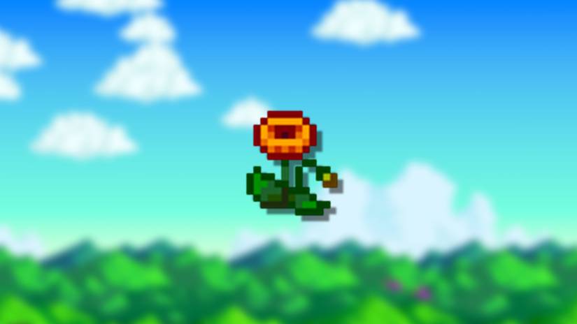 How To Grow Poppies In Stardew Valley