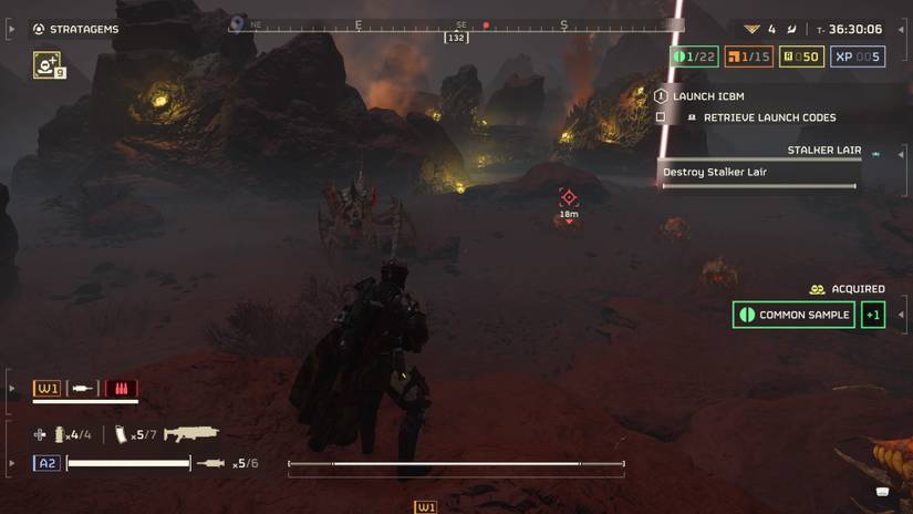 How To Kill Every Terminid Enemy Type In Helldivers 2