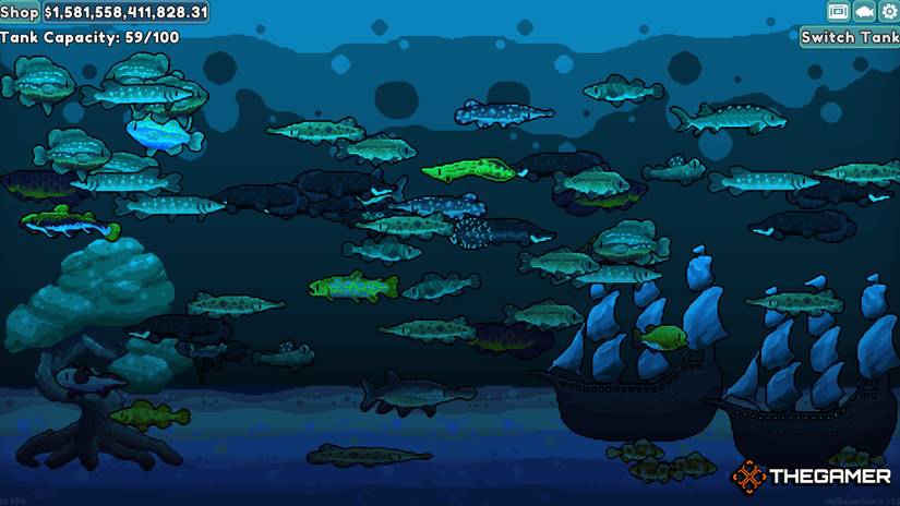 Things We Wish We Knew Before Starting Chillquarium