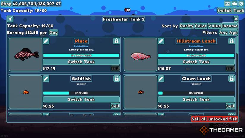 Things We Wish We Knew Before Starting Chillquarium