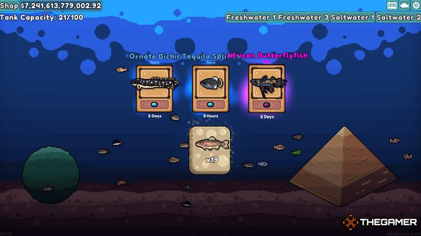 Things We Wish We Knew Before Starting Chillquarium