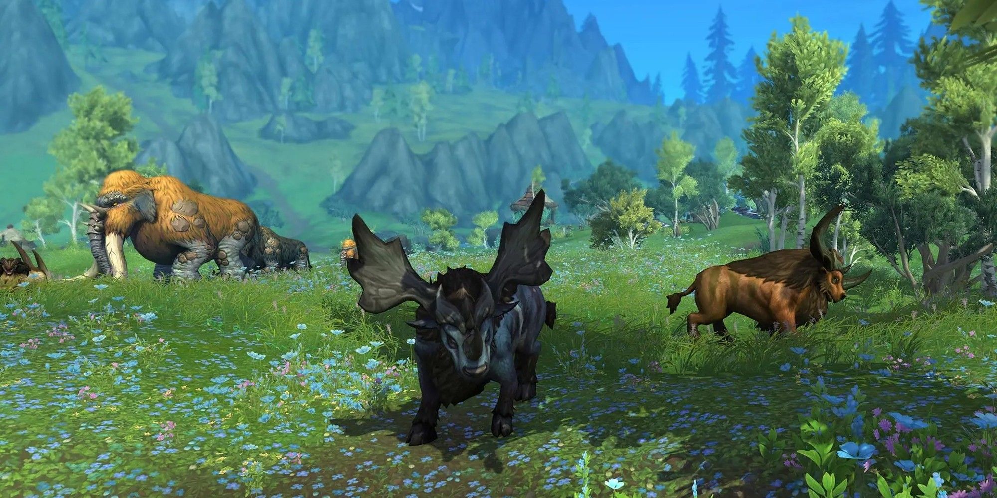 Where To Find The Black Market In World Of Warcraft: Dragonflight