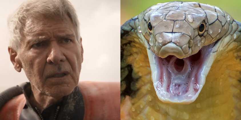 Indiana Jones Entire Timeline, Explained