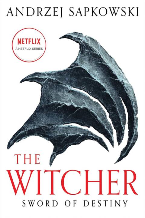 Every Book In The Witcher Series In Reading Order