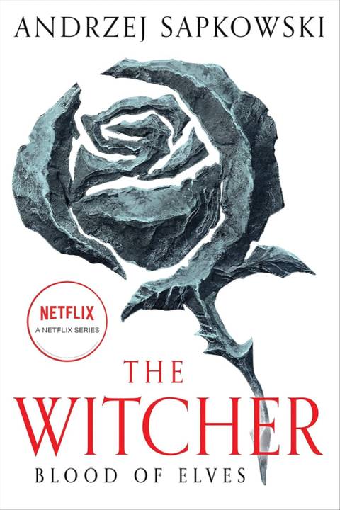 Every Book In The Witcher Series In Reading Order