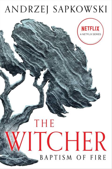 Every Book In The Witcher Series In Reading Order
