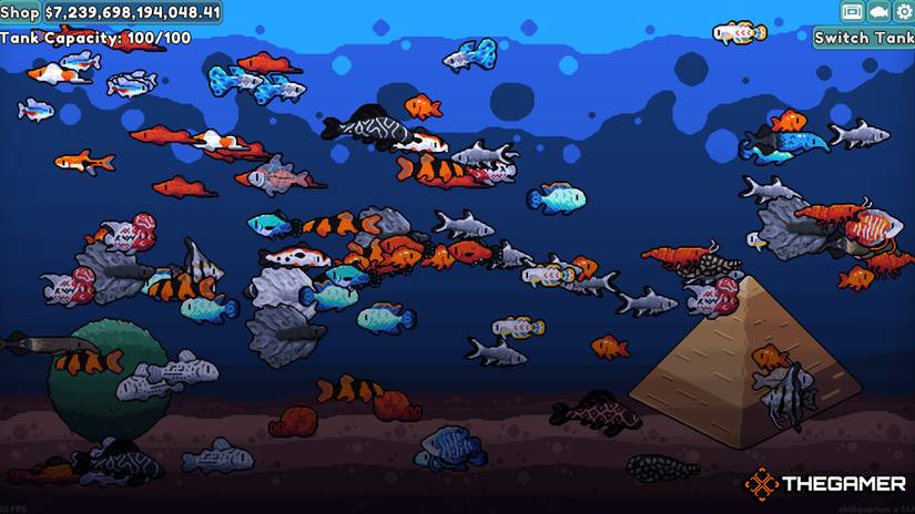 Things We Wish We Knew Before Starting Chillquarium