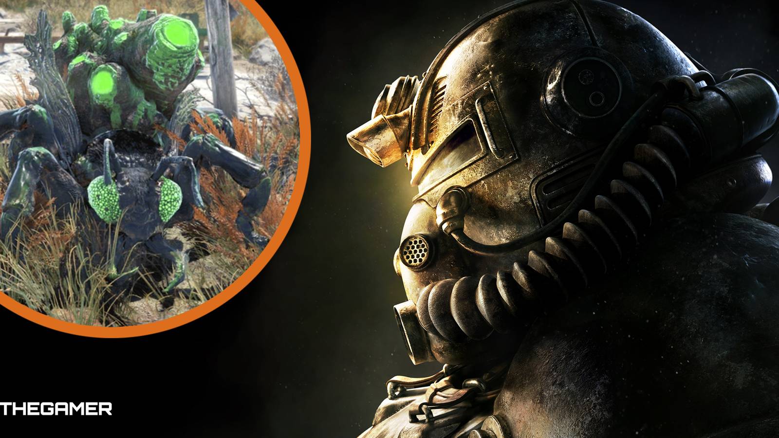 Honey Beast Locations Guide For Fallout 76