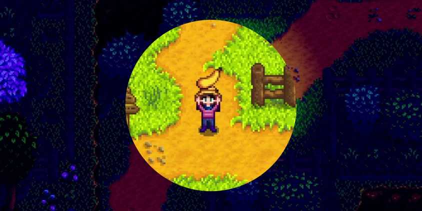 10 Things To Do During Summer In Stardew Valley